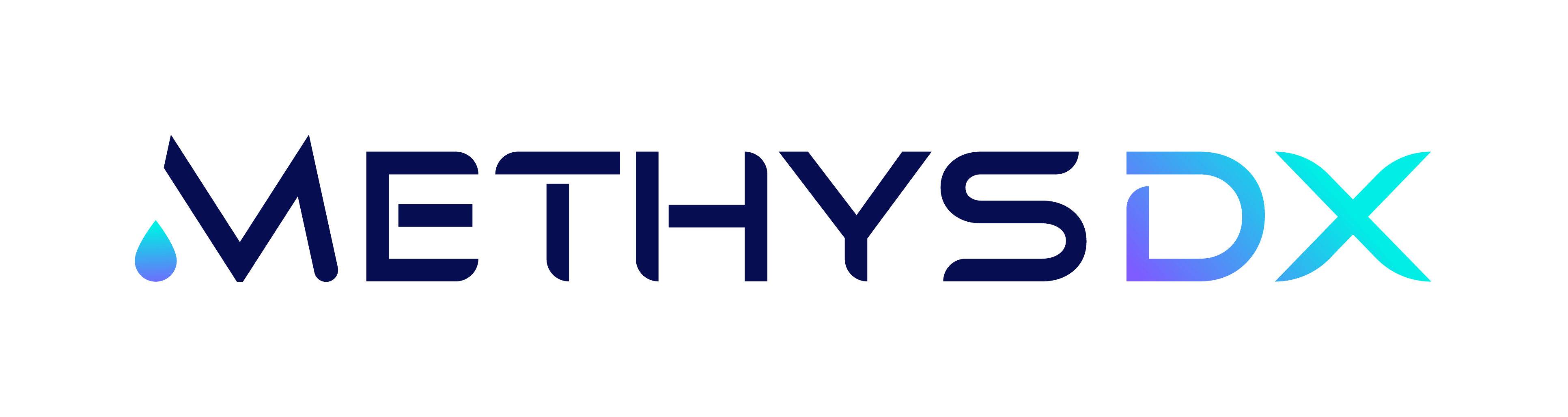 METHYS Dx : tout savoir sur la start-up